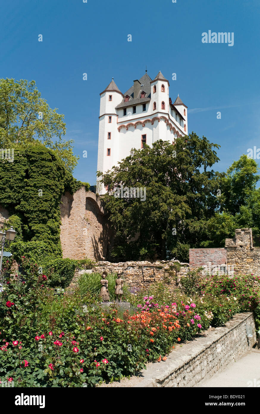 Electoral castle of the archbishops of Mainz, Eltville, Hesse, Germany ...