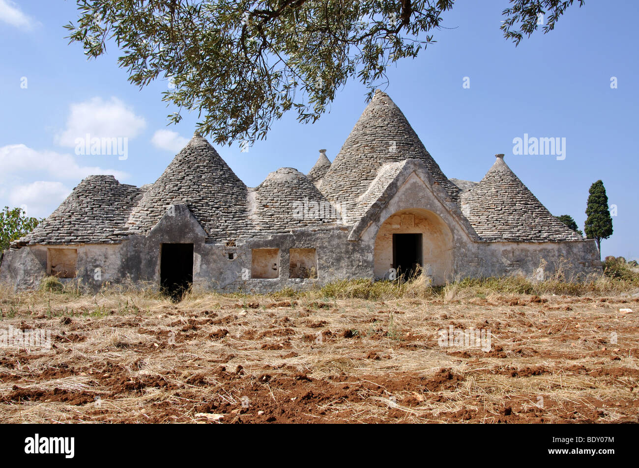 Trulli houses in countryside, Bari Province, Puglia Region, Italy Stock ...