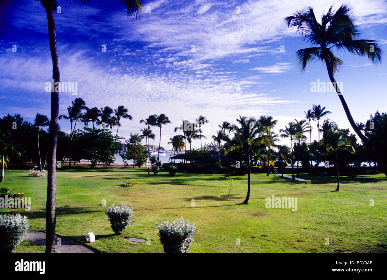 Wonderful cloud formations, behind the palm trees at the Calabash Hotel ...