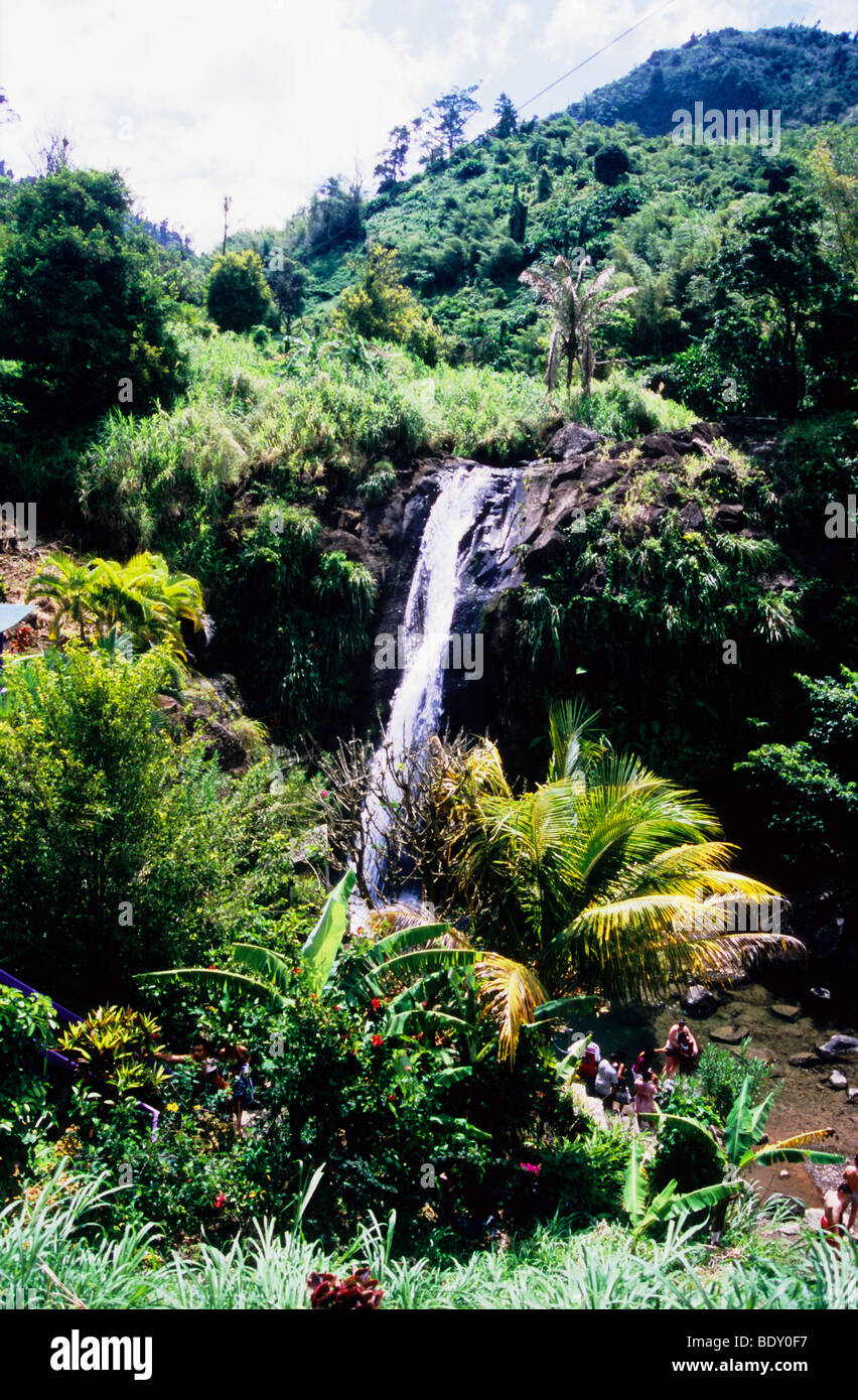 Concord Water Falls. Grenada, West Indies. Flora & Fauna of Grenada ...
