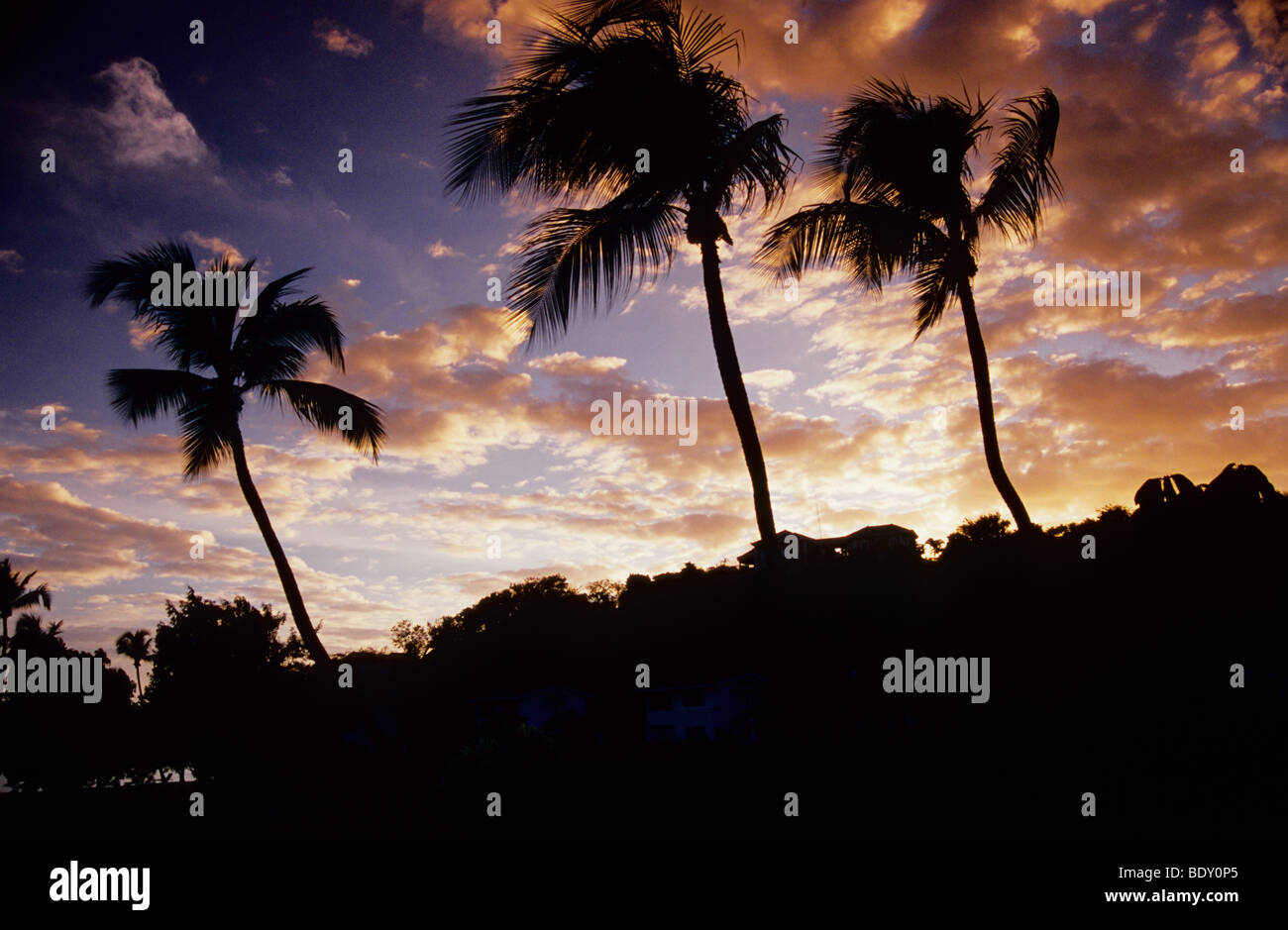 Wonderful cloud formations, behind the palm trees at the Calabash Hotel ...