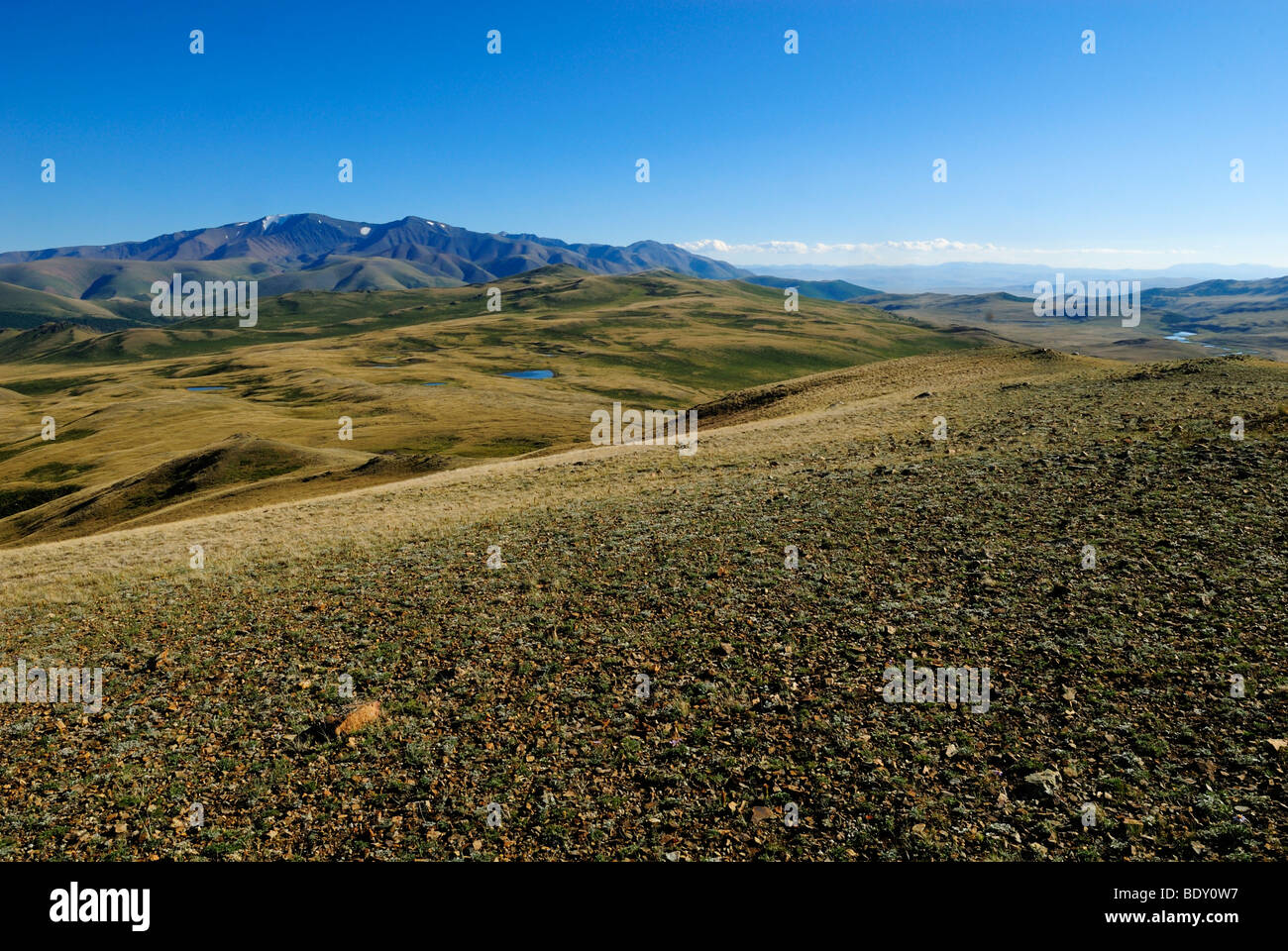 Chuja hi-res stock photography and images - Alamy