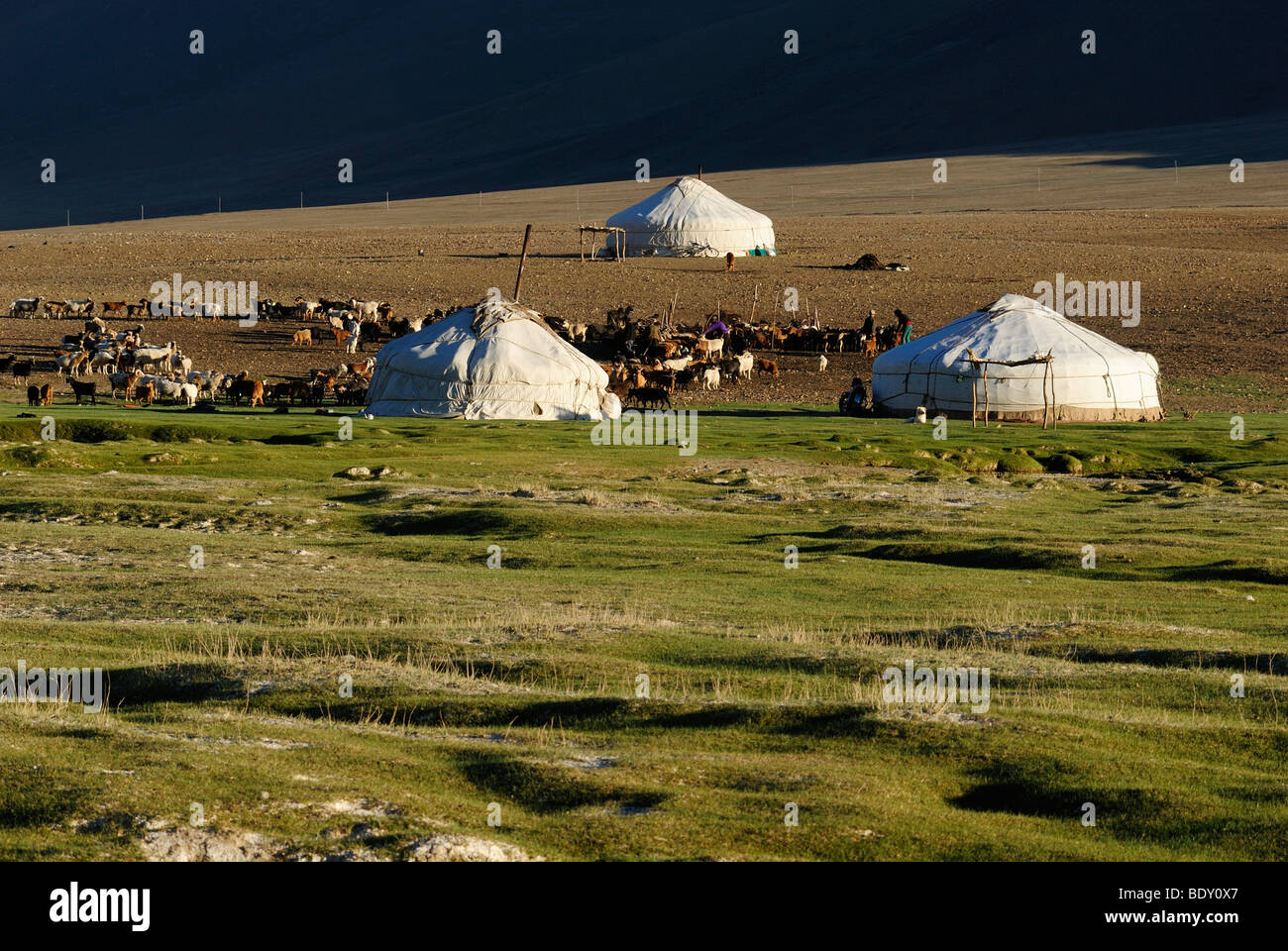 Nomad yurts in the Mongolian steppe, Aimak Bayan Ulgi, Altai Mountains ...