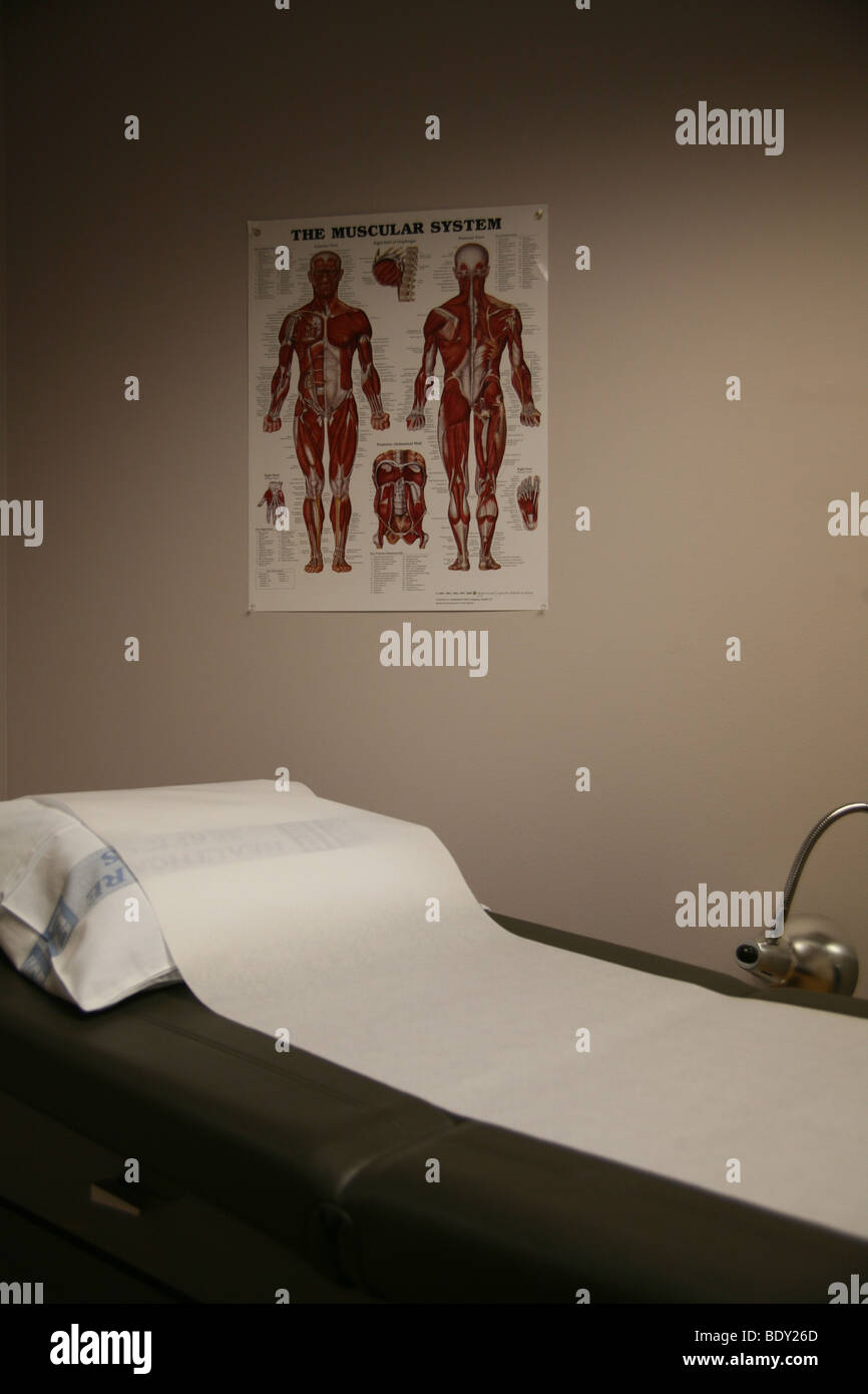 Medical Body Poster High Resolution Stock Photography and Images - Alamy