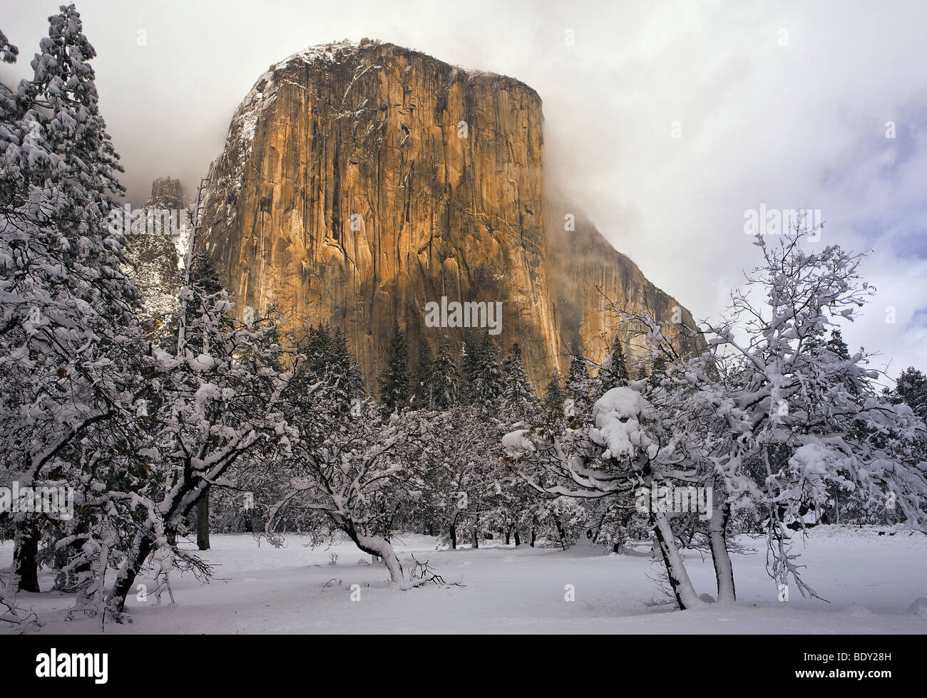 The 8,000 foot granite monolith El Capitan emerges from the clouds at ...