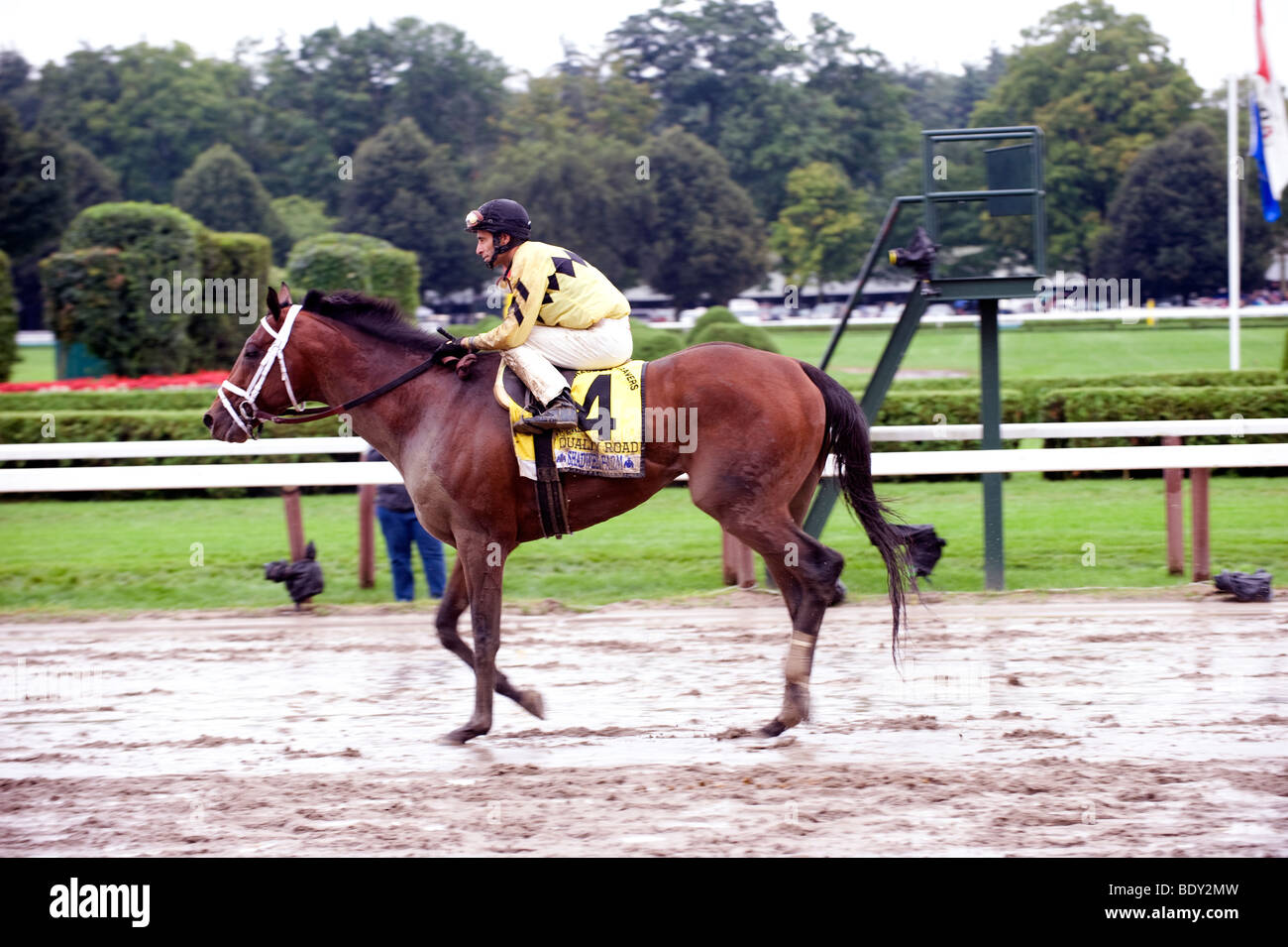 Quality Road Horse High Resolution Stock Photography and Images - Alamy