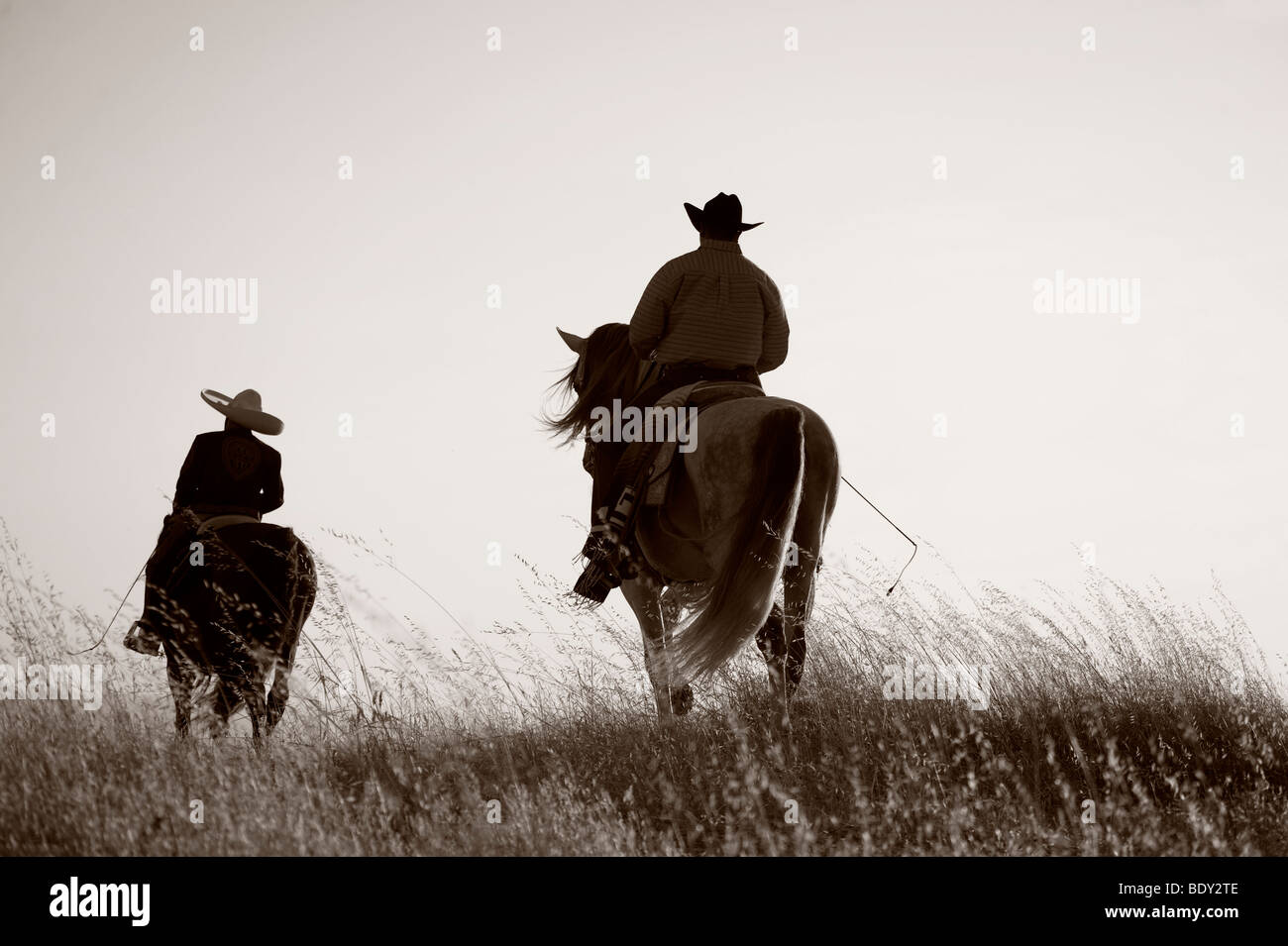Two Men Horseback Riding High Resolution Stock Photography and Images ...