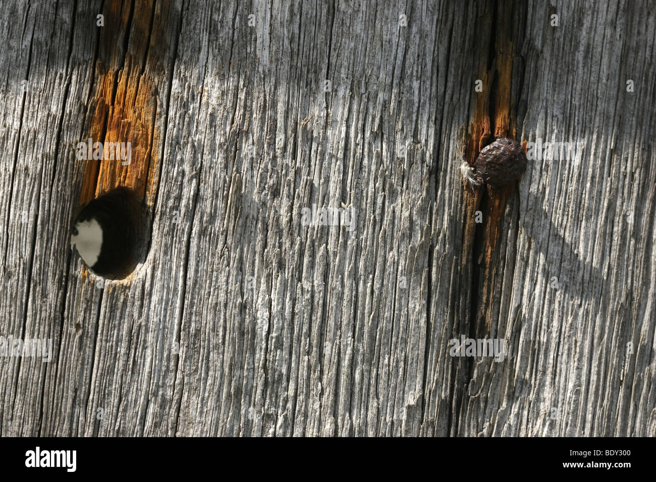 Wood Grain Detail with rusty nail marks Stock Photo - Alamy