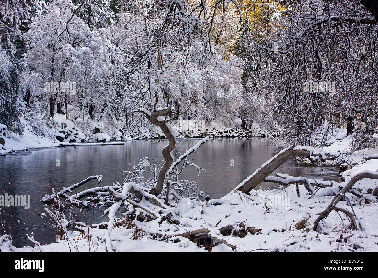 Winter morning along Merced River, Yosemite National Park, California ...