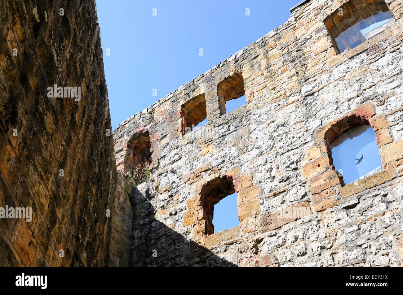 Rechberg ruins, first mentioned in 1179, Rechberg, Schwabisch Gmund ...