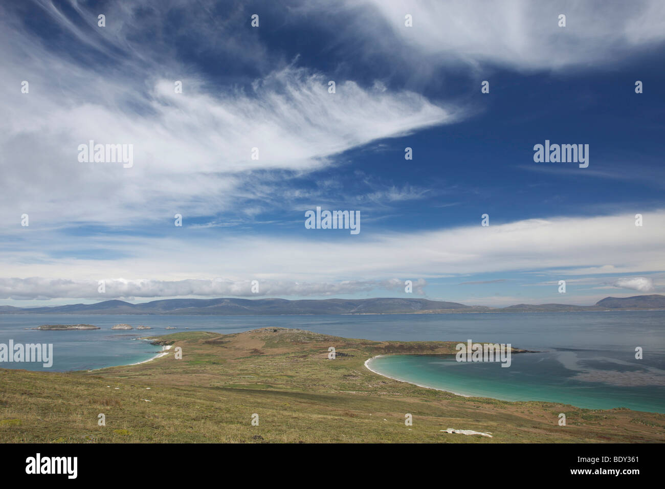 Beach on Carcass Island, Falkland Islands Stock Photo - Alamy