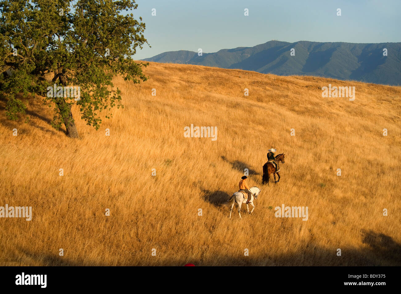 Two horseback riders hi-res stock photography and images - Alamy