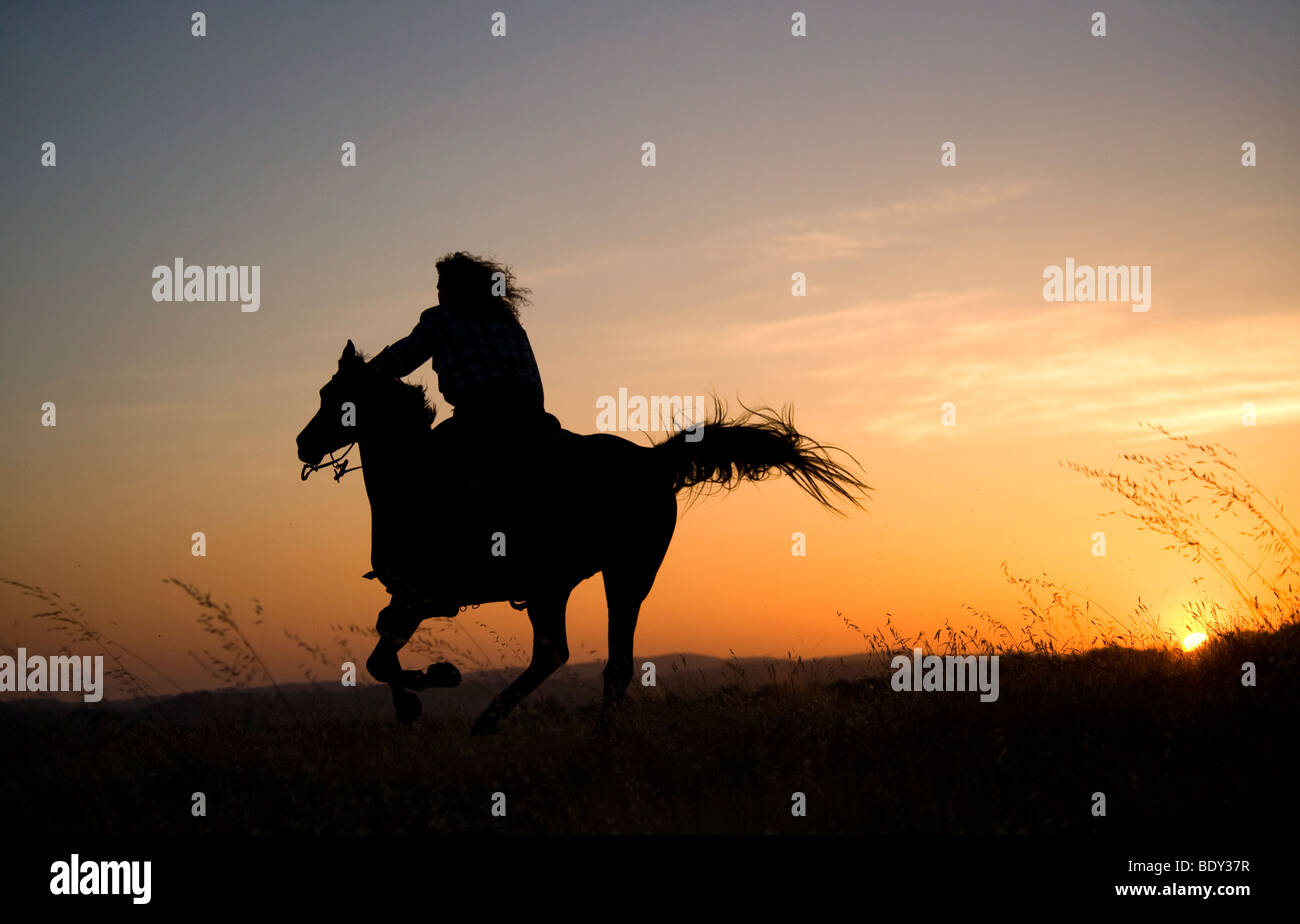 Riding horses at sunset hi-res stock photography and images - Alamy