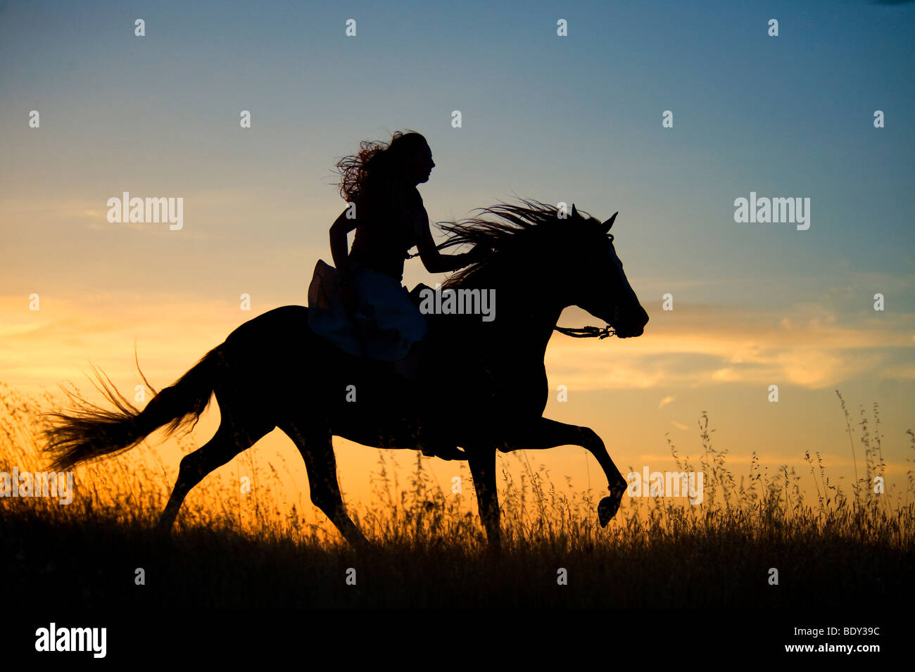 Riding horses at sunset hi-res stock photography and images - Alamy