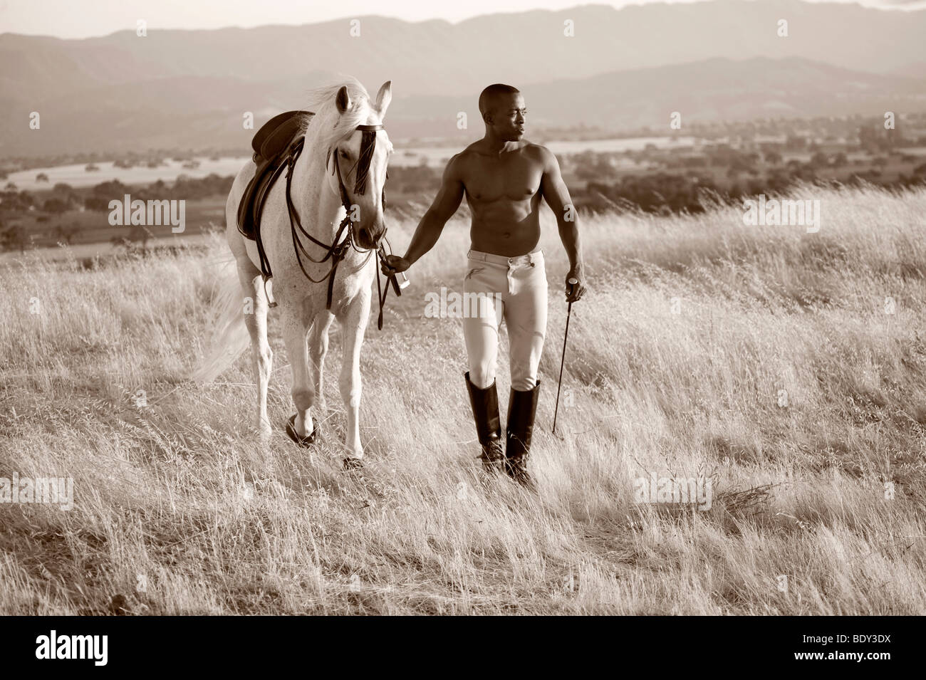 African American Man With Horse High Resolution Stock Photography and ...