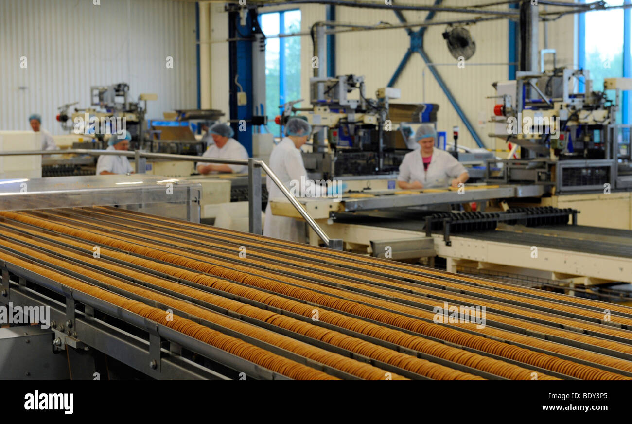 Gingernut biscuits on a production line in a McVities's biscuit factory ...