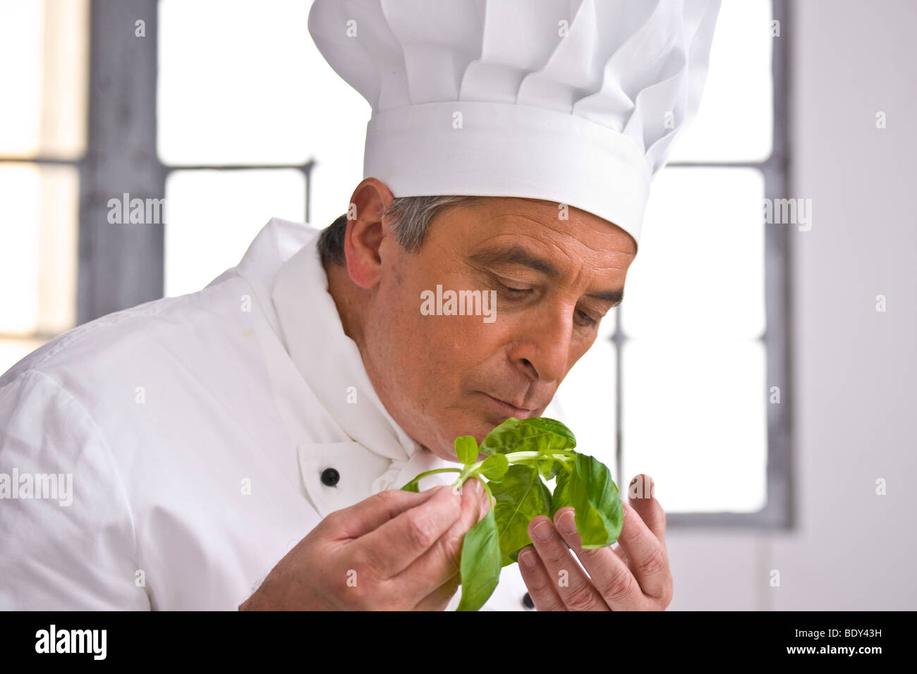 Chef wearing a chef's hat smelling a sprig of basil Stock Photo - Alamy