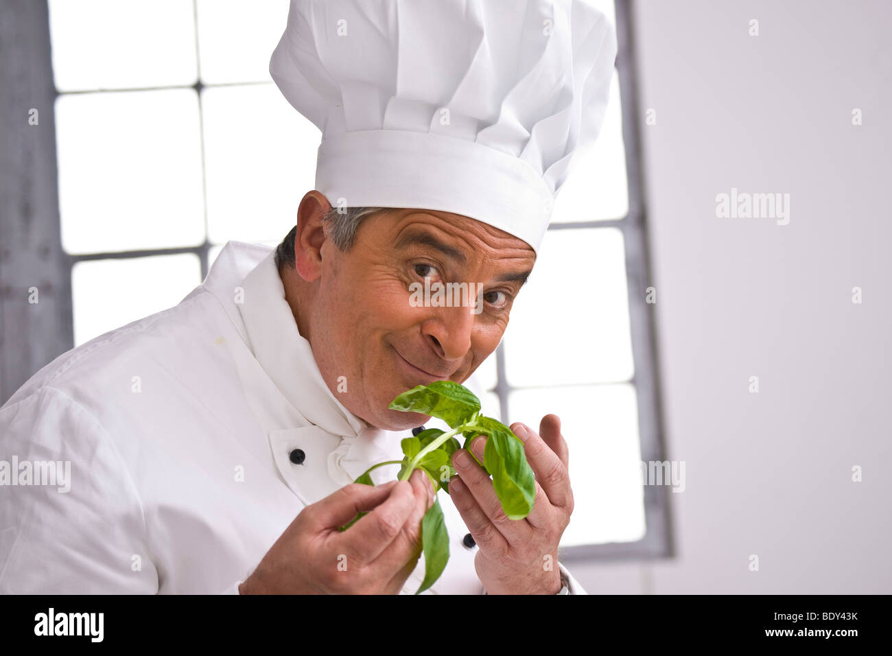 Chef wearing a chef's hat smelling a sprig of basil Stock Photo - Alamy