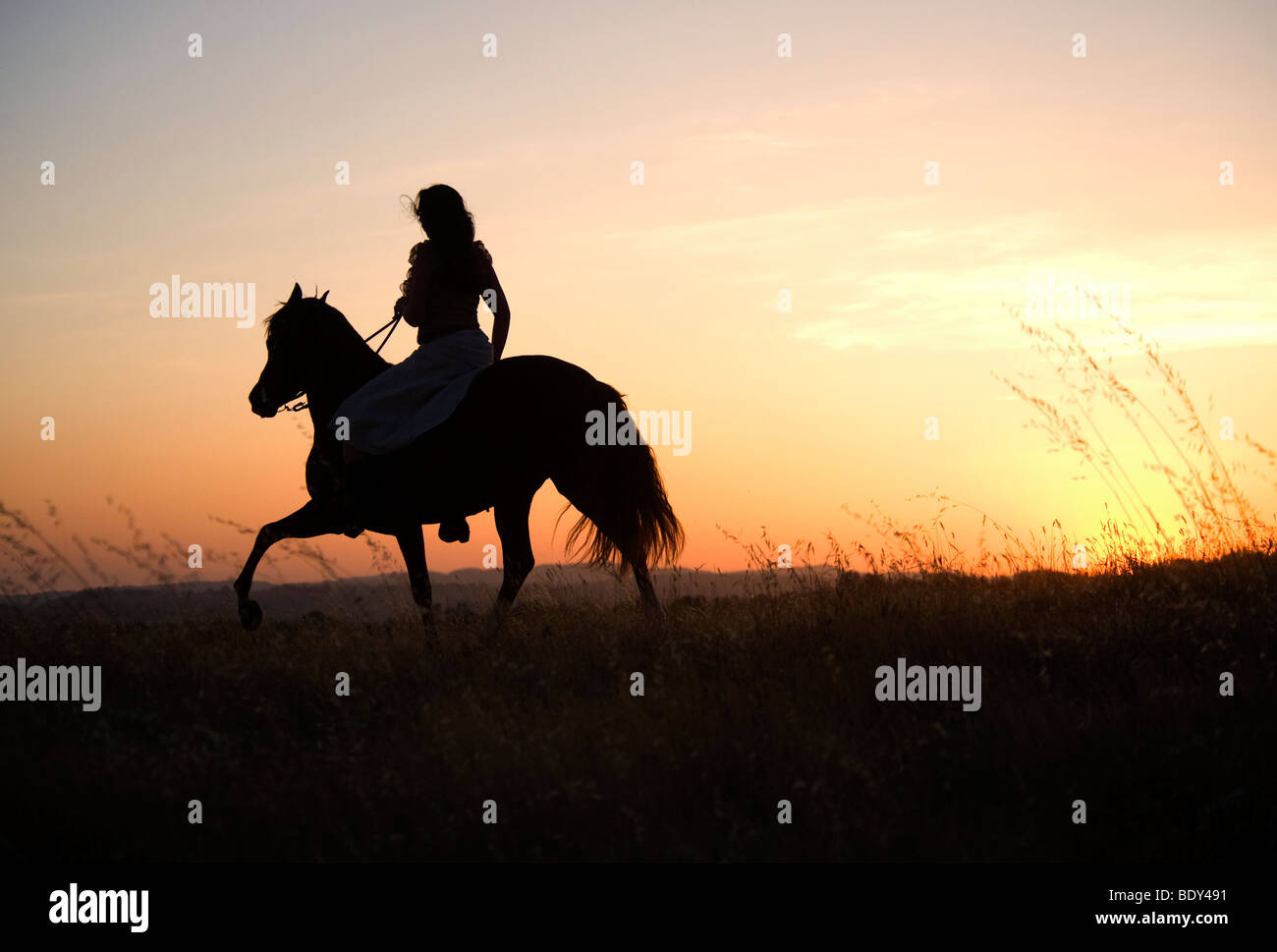 Woman Riding Horse At Sunset High Resolution Stock Photography and ...