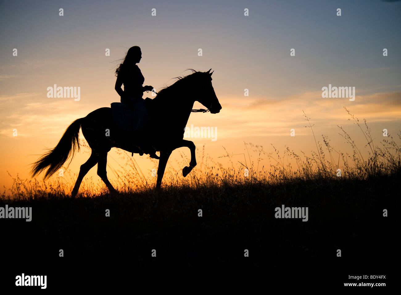 Woman Riding her Horse at Sunset Stock Photo - Alamy