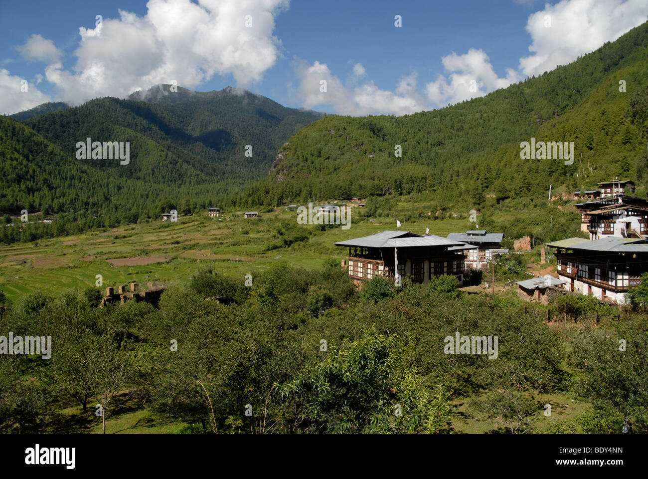 A village and rice fields in the upper Paro Valley, Bhutan Stock Photo ...