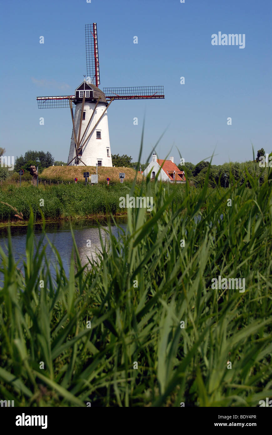 Traditional Windmill by canal in Damme, near Bruges, Belgium Stock ...