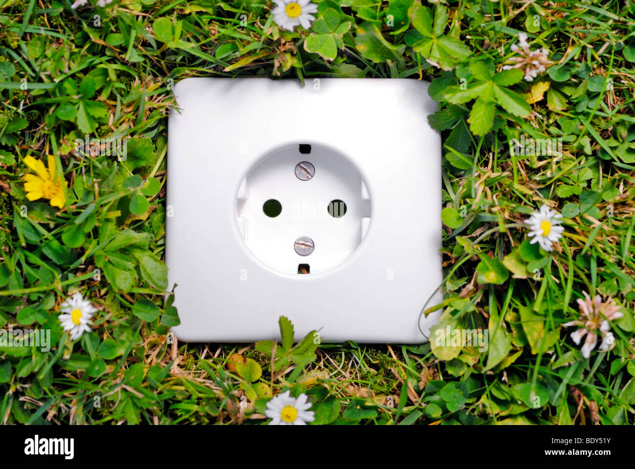 Socket in lawn, eco-power Stock Photo - Alamy