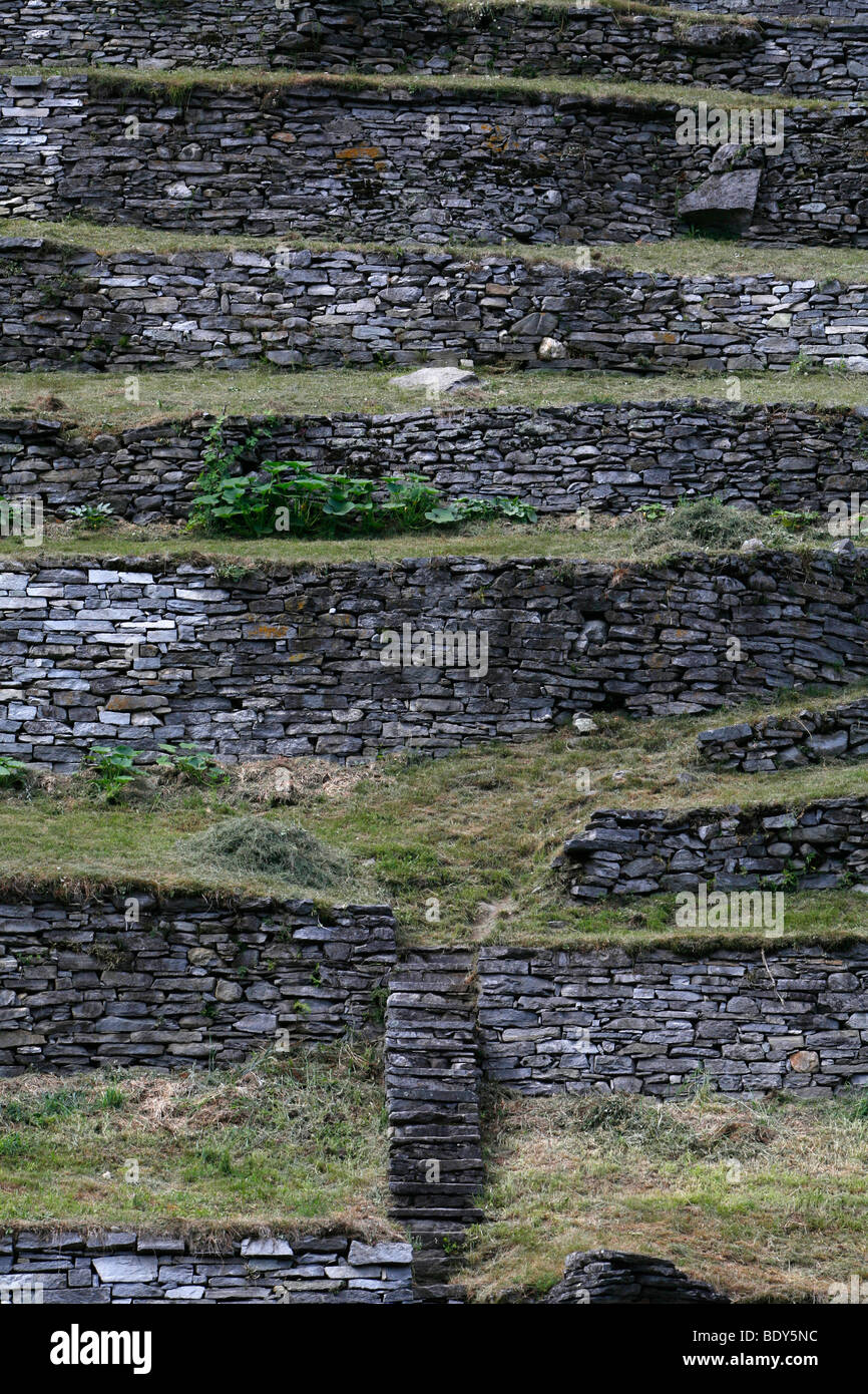 The terraces on the steep slopes of Linescio, terrace village in the ...
