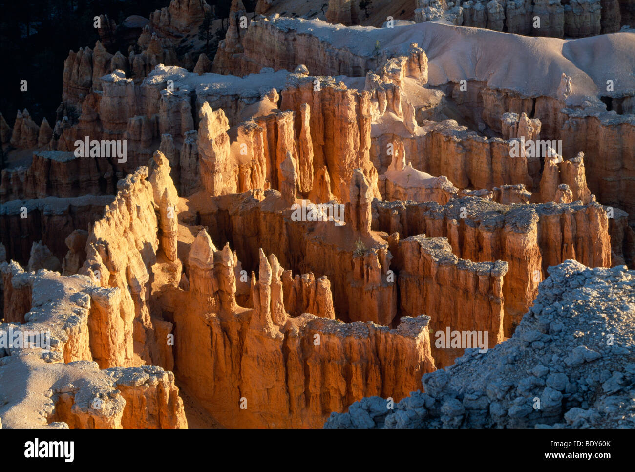 Detail view of the Hoodoos, erosion structures, in Bryce Canyon, Bryce ...