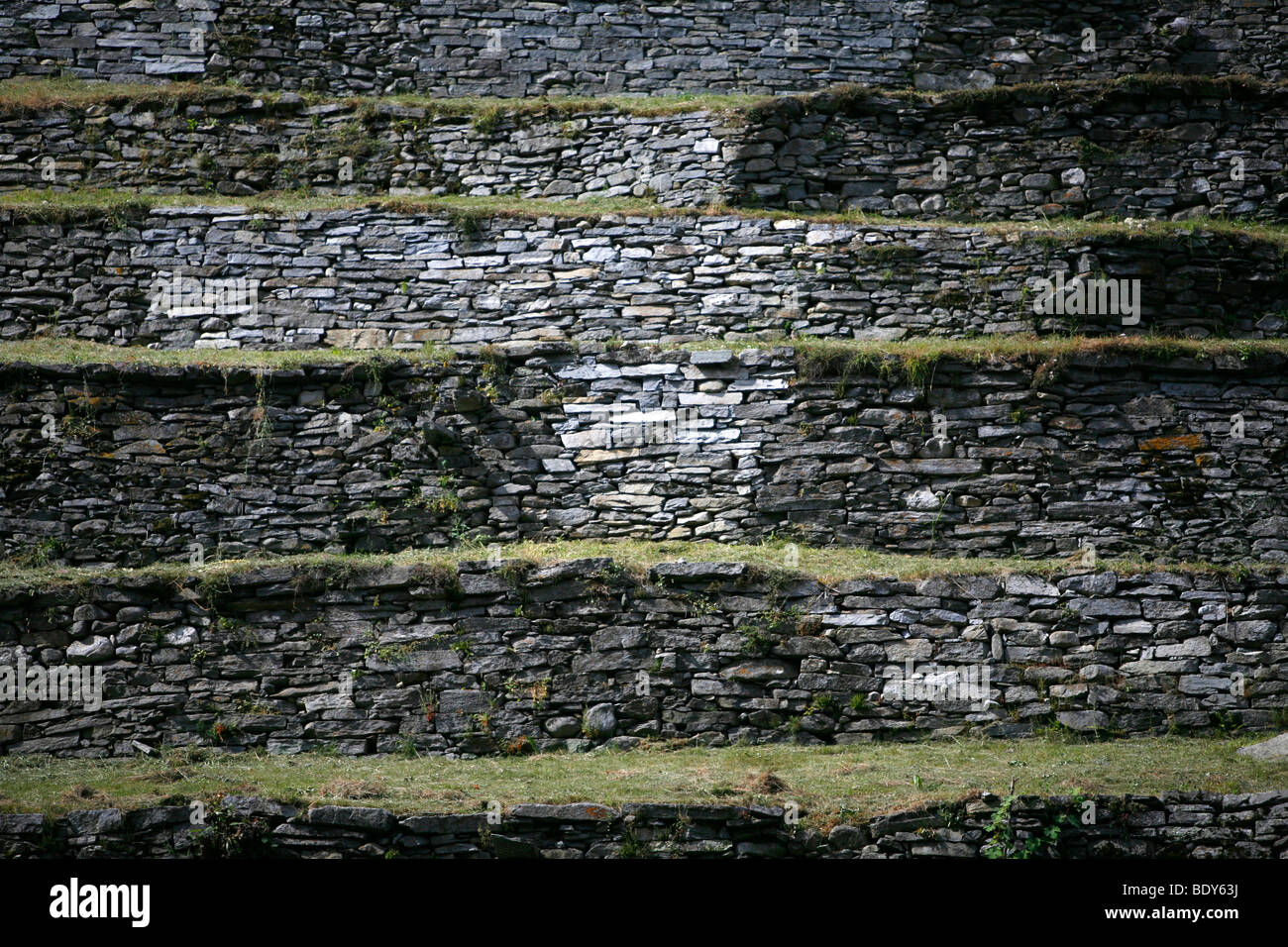 The terraces on the steep slopes of Linescio, terrace village in the ...