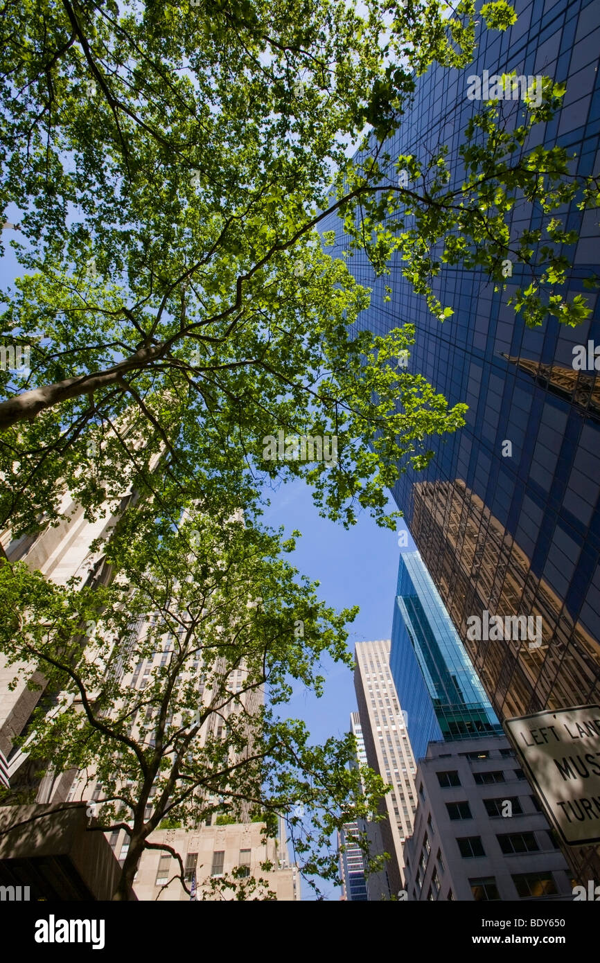 East 51st Street, New York City off fifth avenue Stock Photo - Alamy