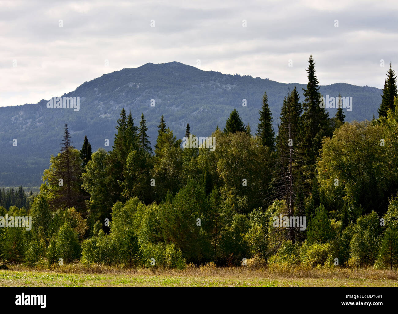 Russia, South Ural, view of mountain ridge Yalangas Stock Photo - Alamy