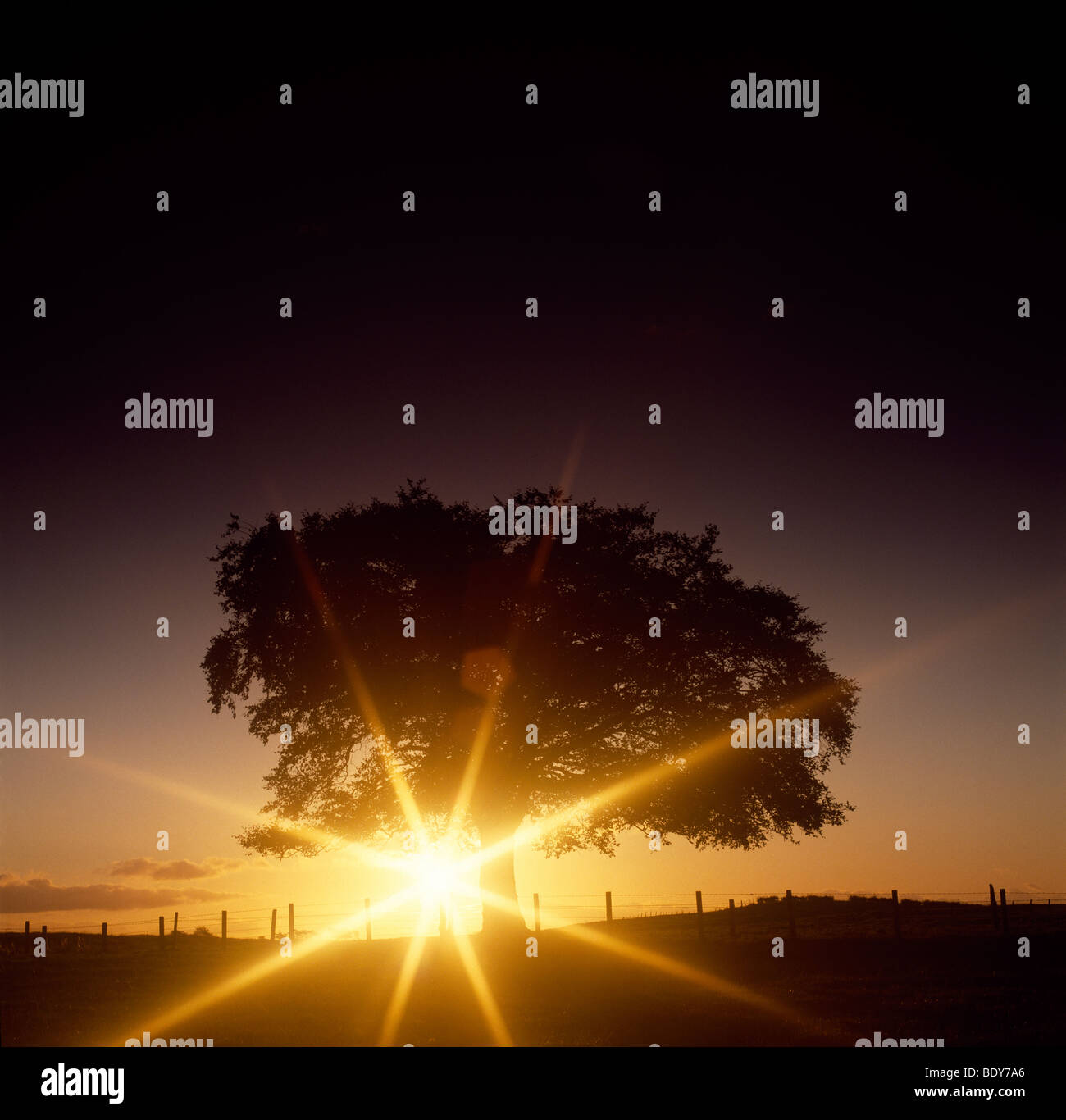 Sunset through fence hi-res stock photography and images - Alamy