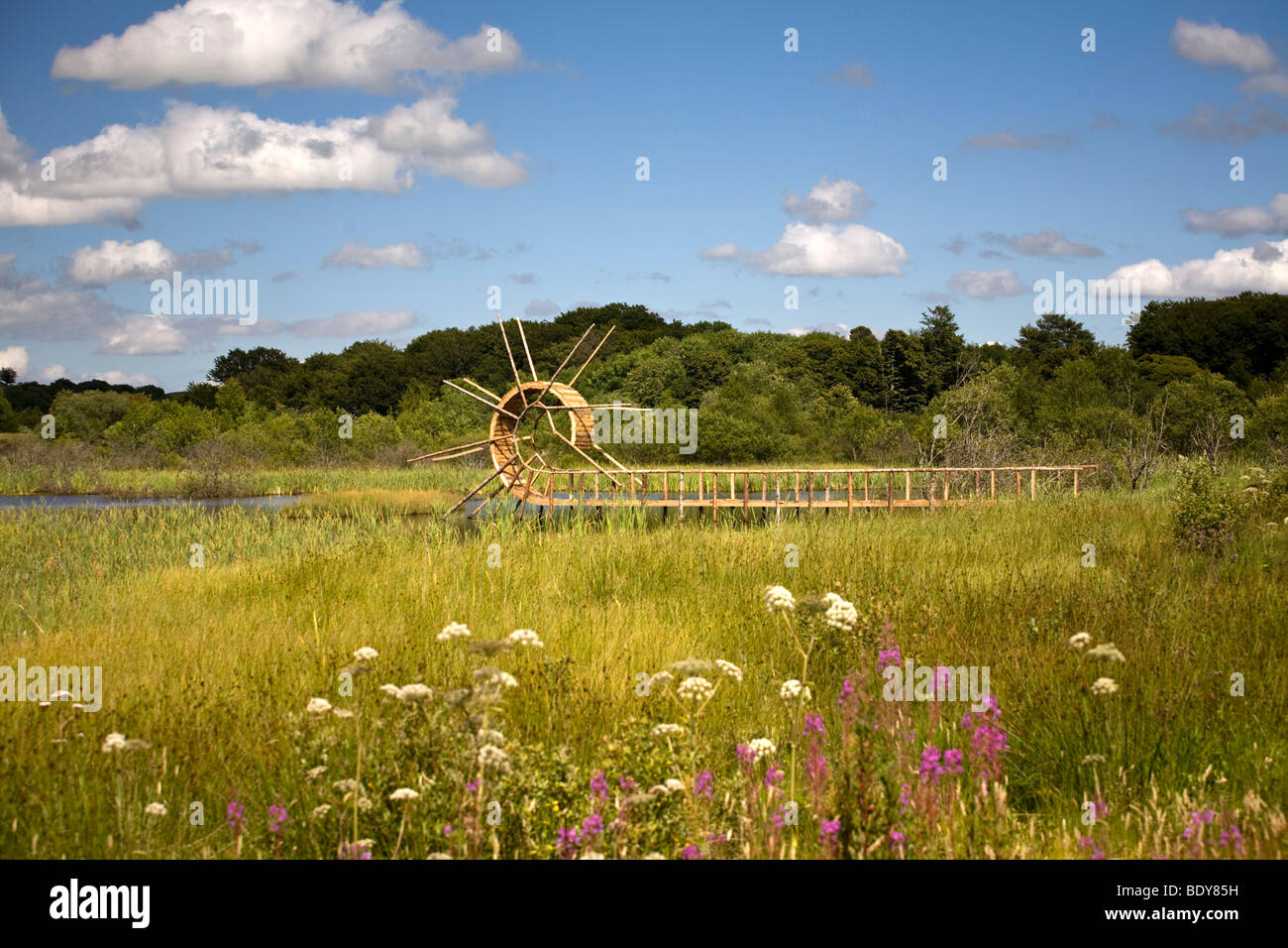 A Tanya Preminger's Land Art work (Puy de Dôme - France). Installation ...