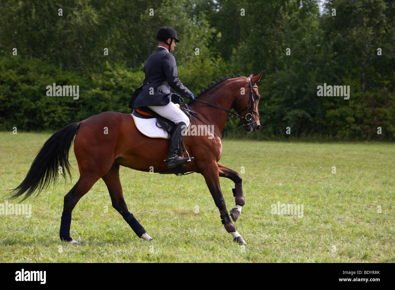Horse And Rider High Resolution Stock Photography and Images - Alamy
