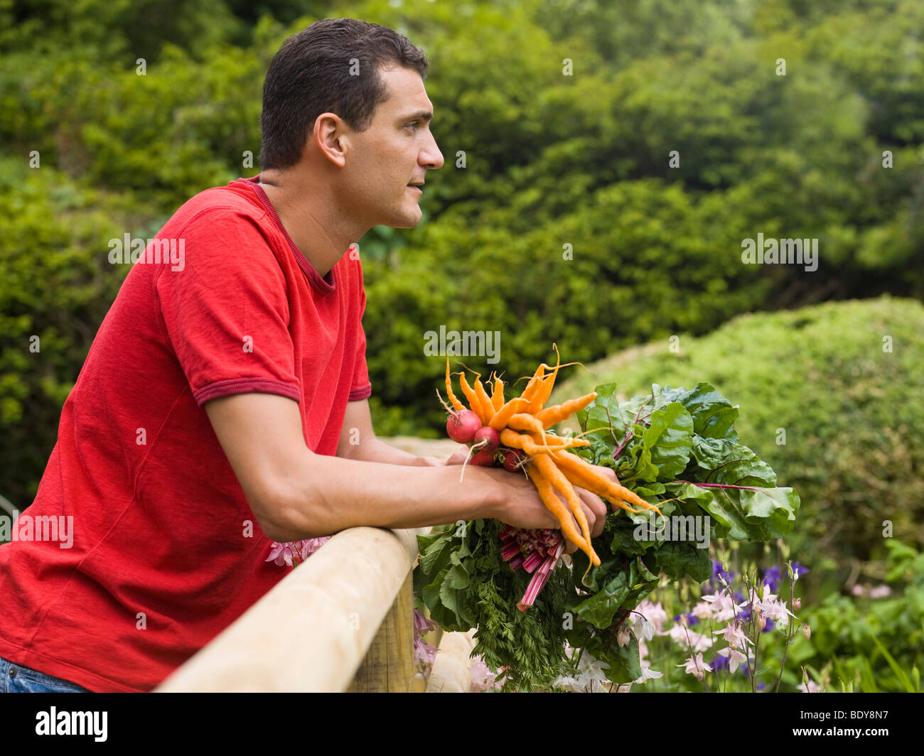 Man in garden with vegetable crops Stock Photo - Alamy