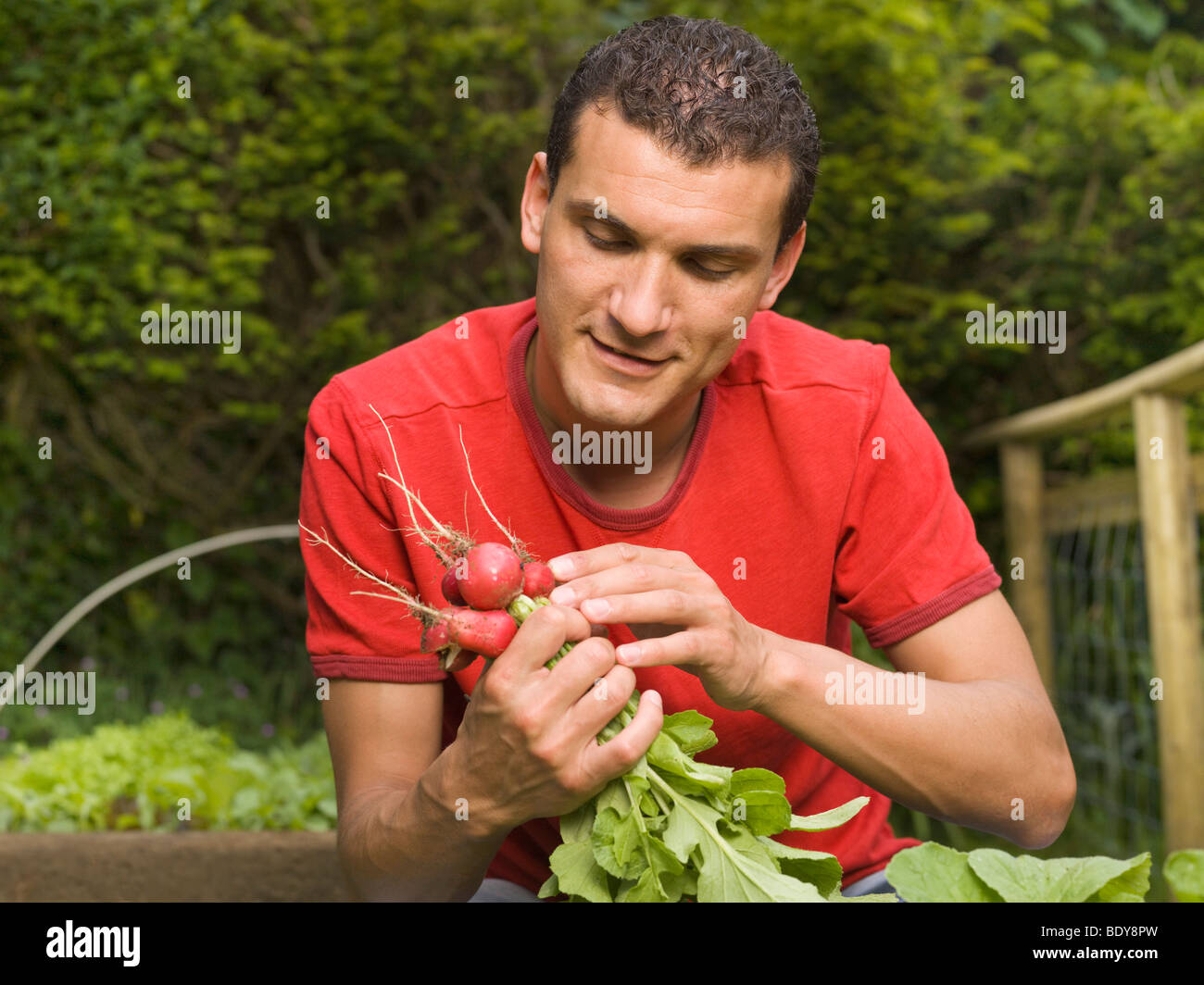 Collecting preparation hi-res stock photography and images - Alamy