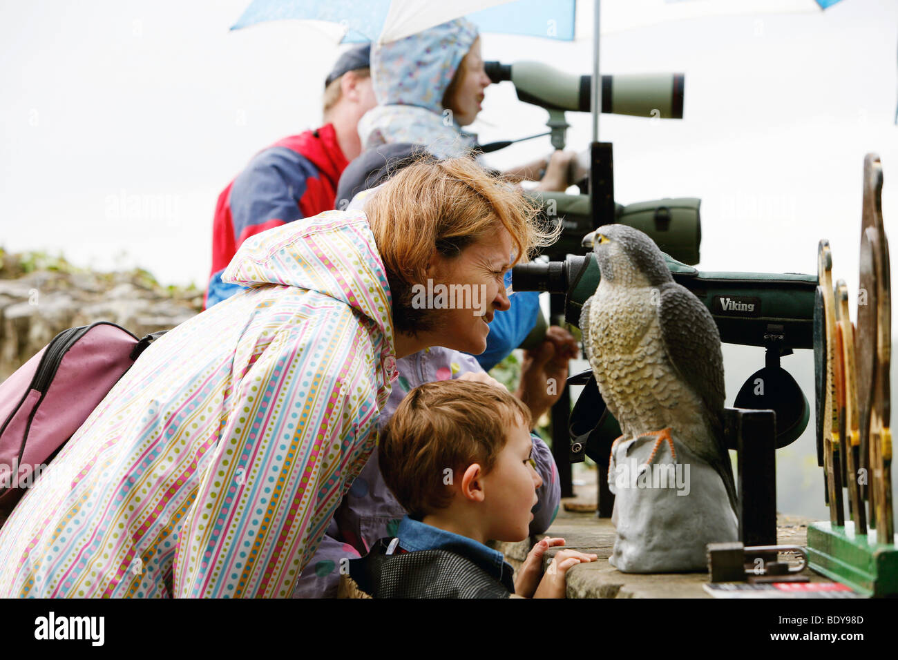 Bird watchers twitcher rain eagle Stock Photo - Alamy