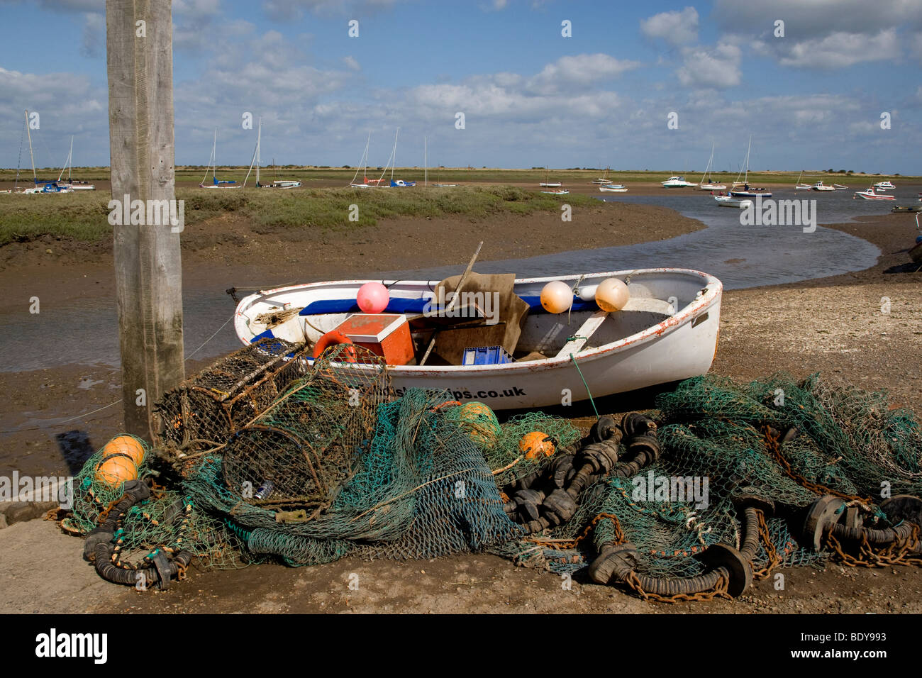 Brancaster mussels hi-res stock photography and images - Alamy