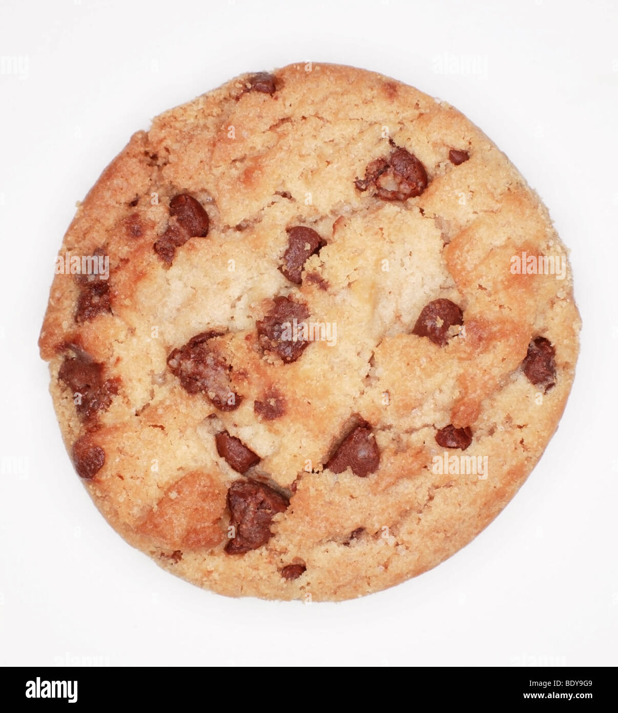 Single chocolate chip cookies hi-res stock photography and images - Alamy