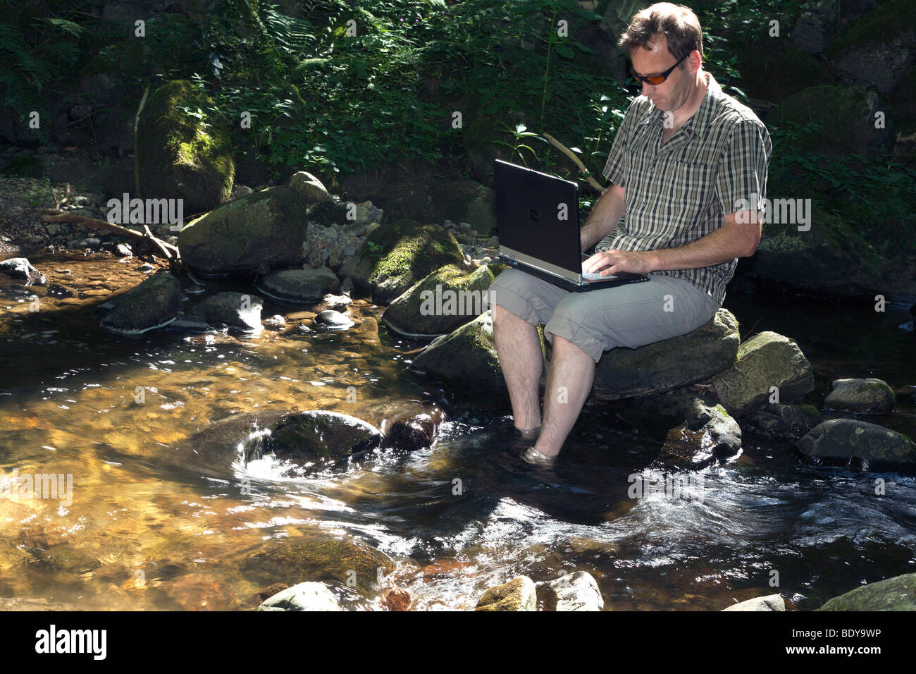 Person by a stream in forest hi-res stock photography and images - Alamy