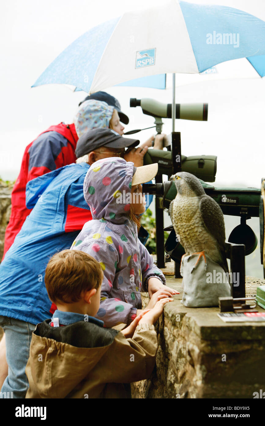 Bird watchers twitcher rain eagle Stock Photo - Alamy
