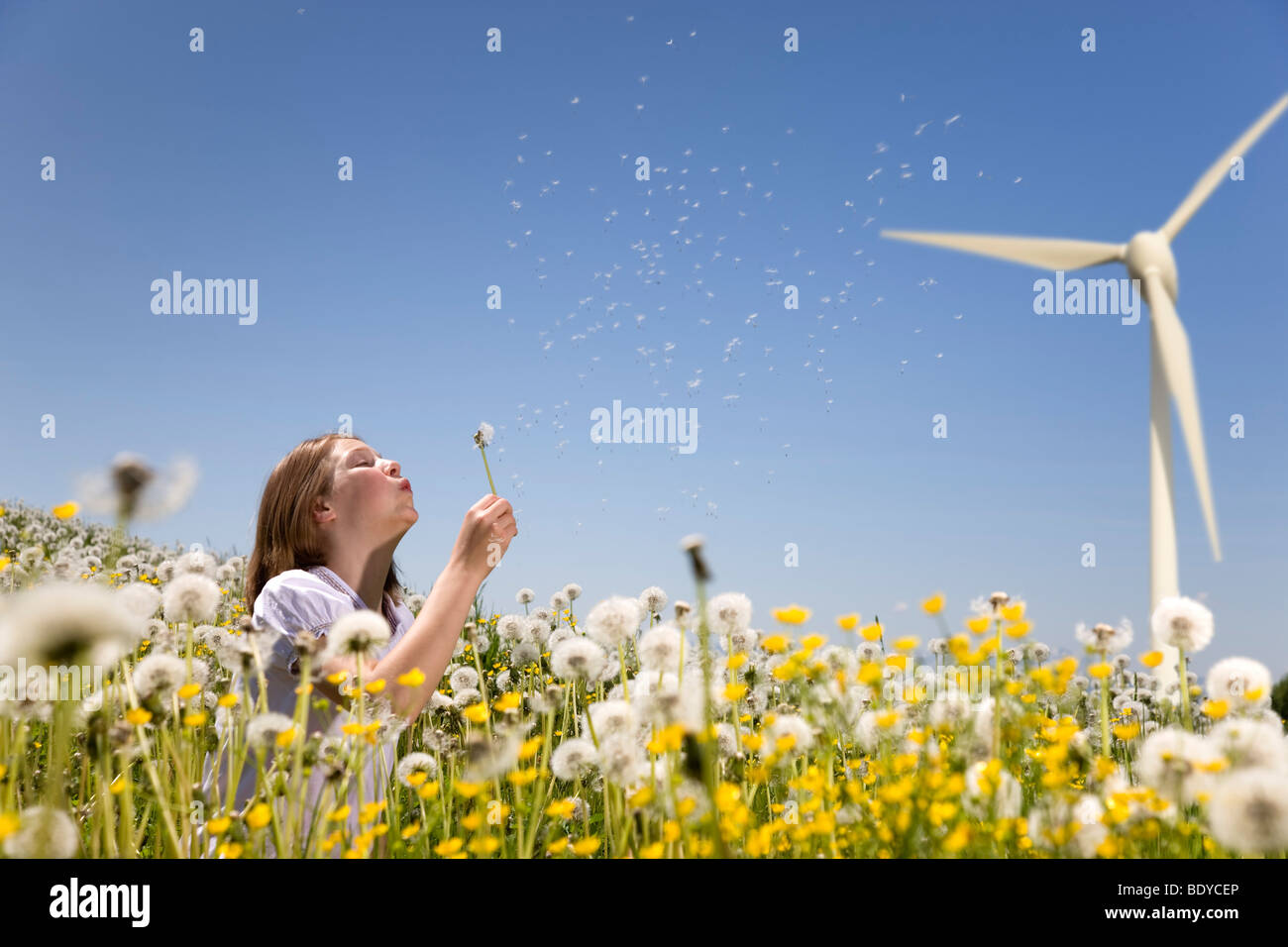 Girl blowing dandelion at wind turbine Stock Photo - Alamy Girl blowing dandelion at wind turbine Stock Photo - Alamy