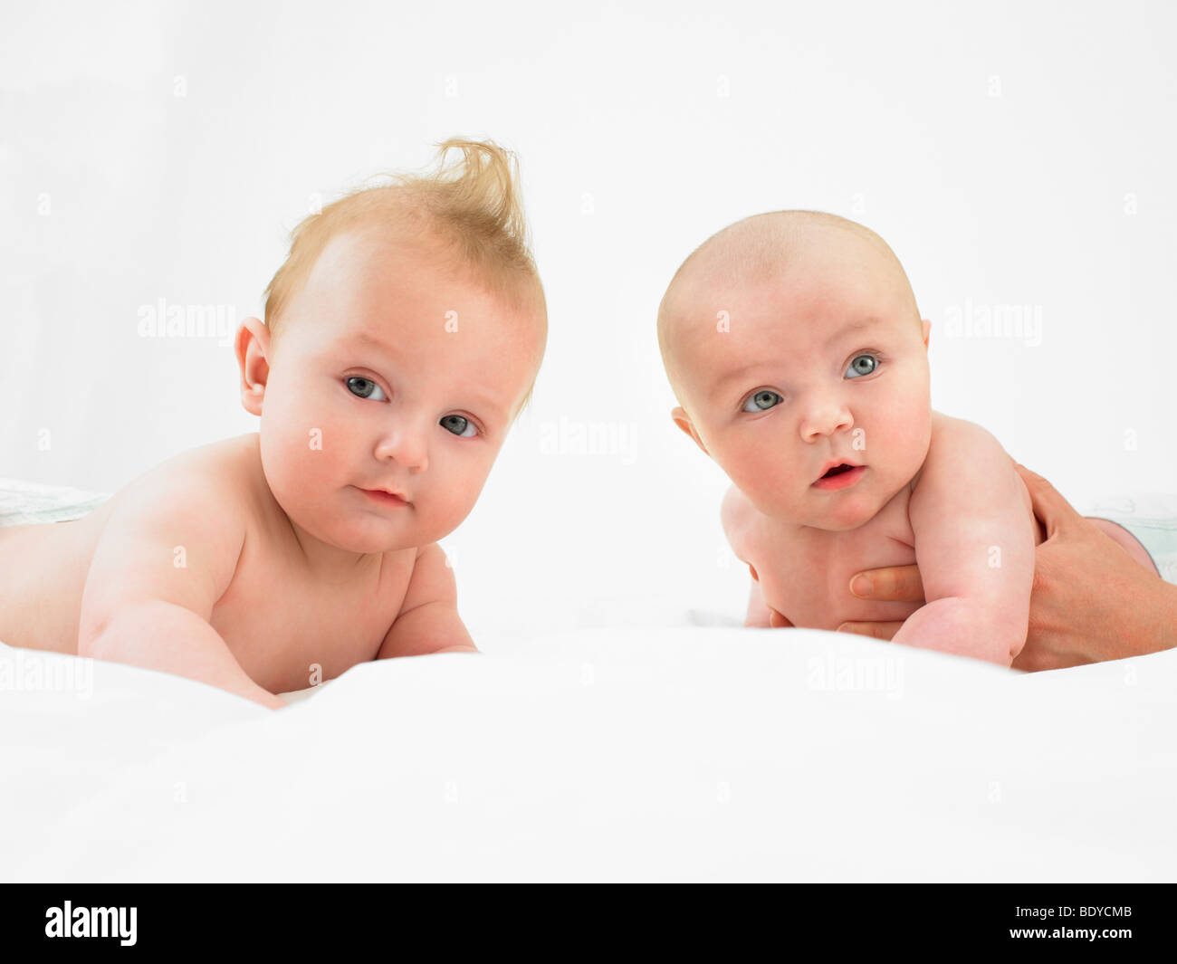 babies lifting head Stock Photo - Alamy