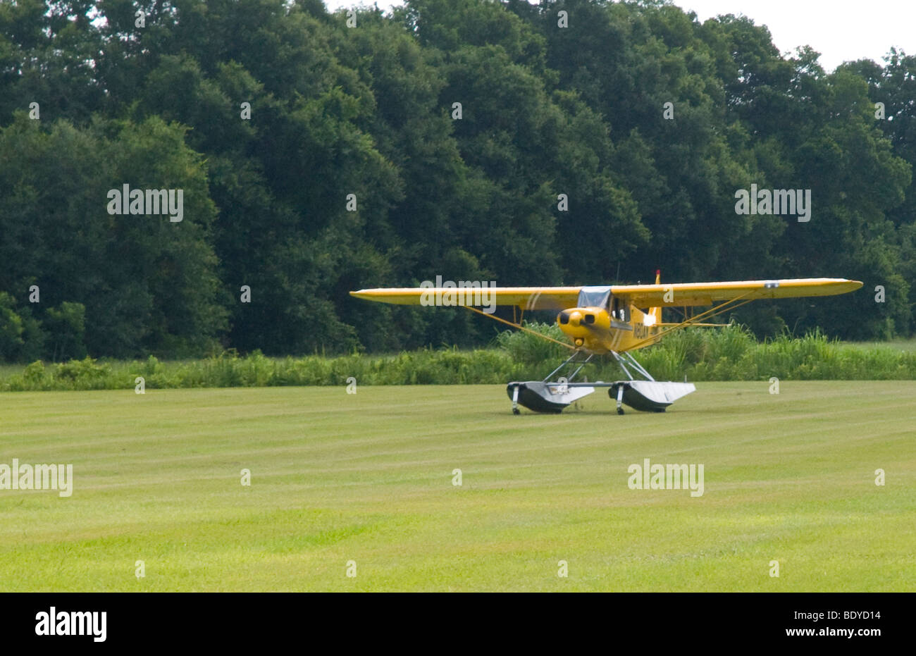 Piper Cub on floats on grass strip take off landing Stock Photo - Alamy