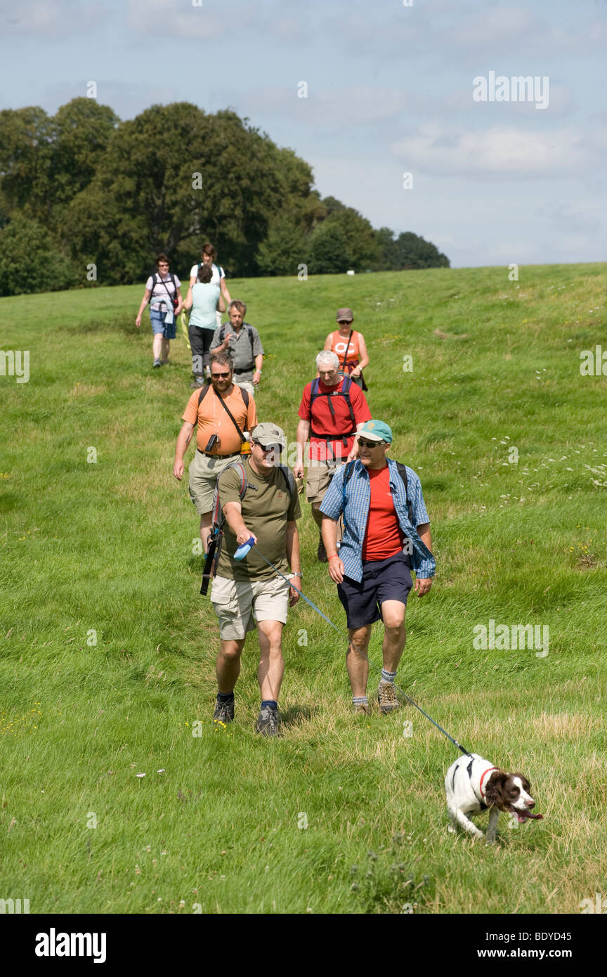 Group of people walking in the English countryside in summer Stock ...