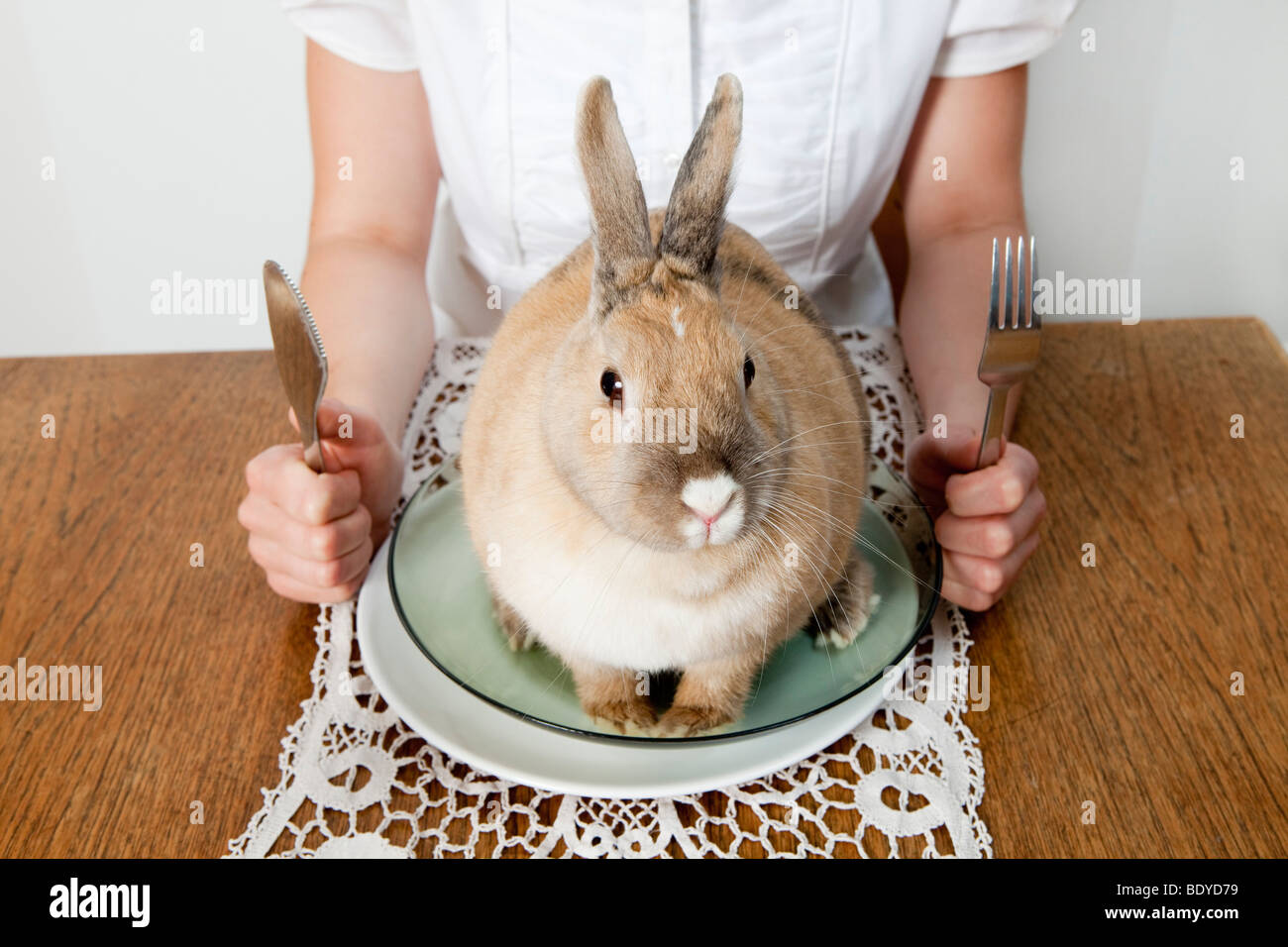 Rabbit sitting on a plate Stock Photo - Alamy