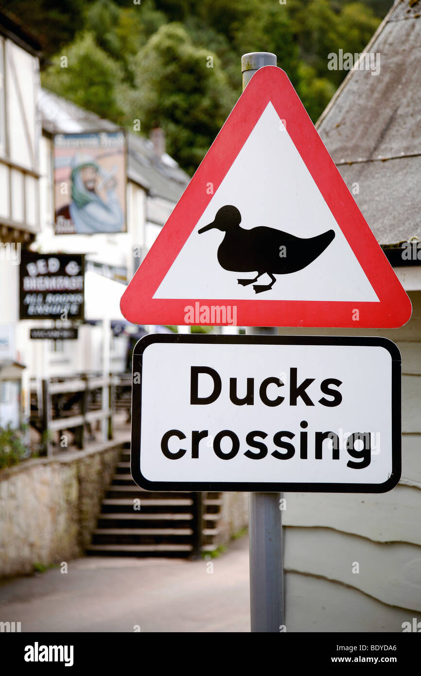 Sign warning ducks crossing road hi-res stock photography and images ...