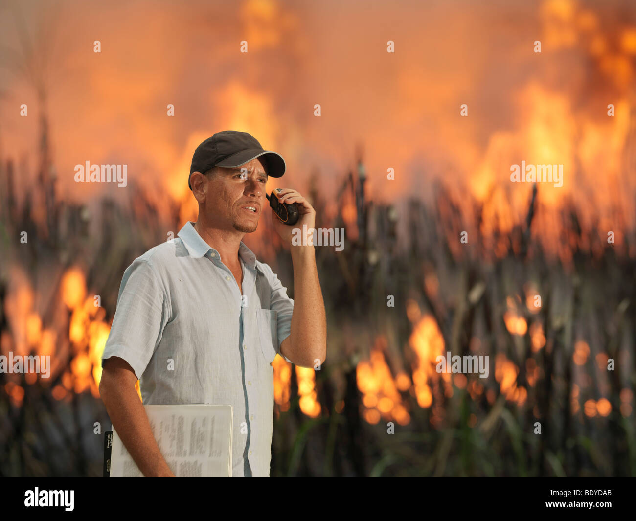 Burning cane hi-res stock photography and images - Alamy