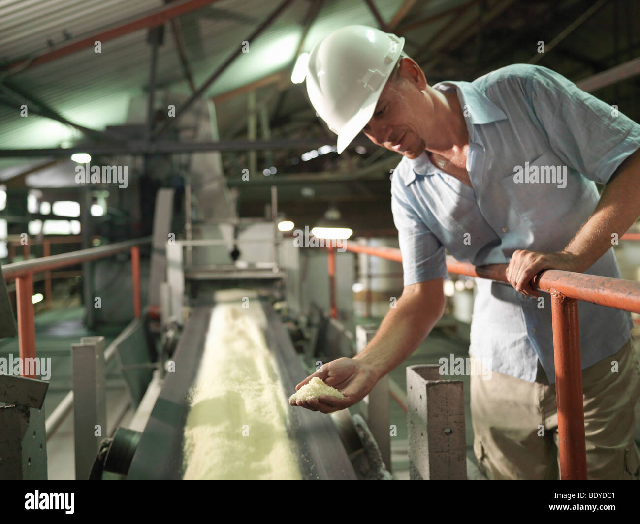 Conveyor belt sugar factory High Resolution Stock Photography and ...
